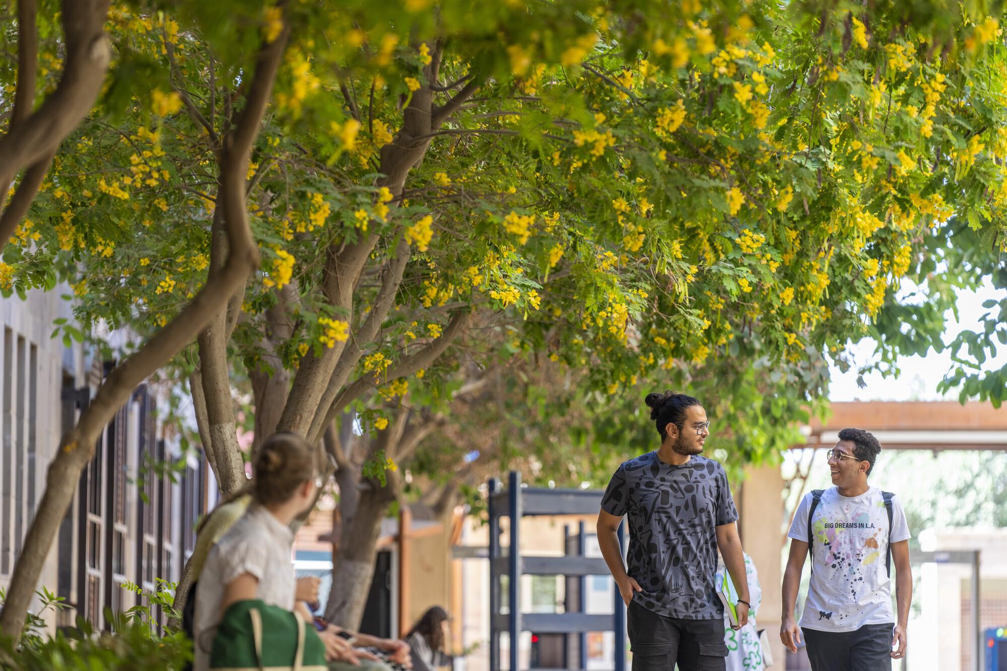 School of Humanities and Social Sciences News | AUC School of ...